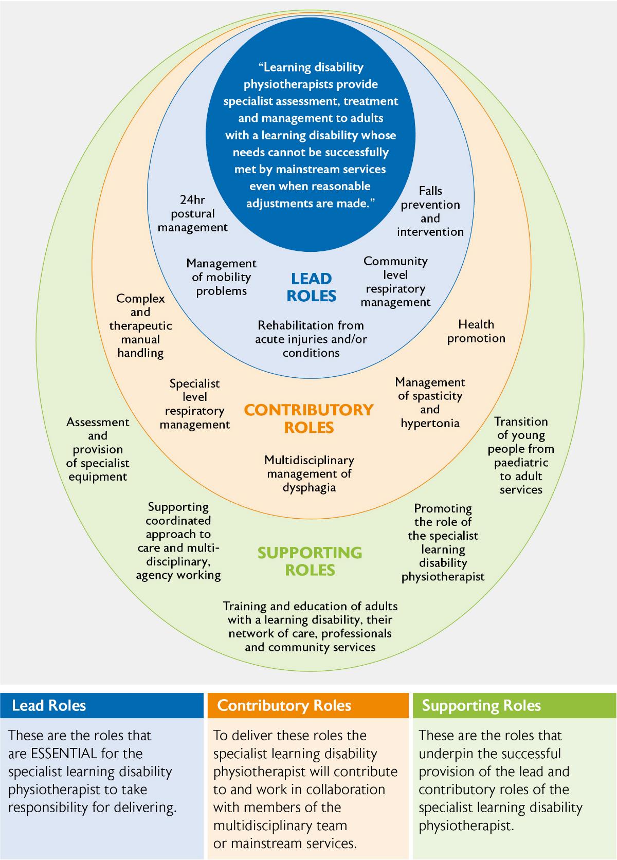 Standards of practice for working with adults with a learning ...